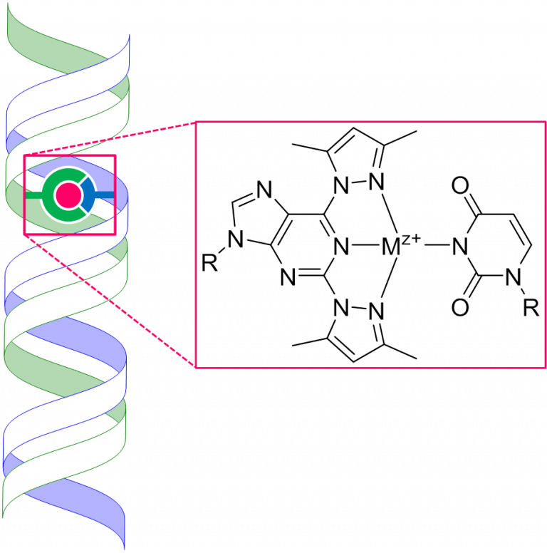 Metal-ion mediated base-pairing of nucleic acids | Bioorganic Group